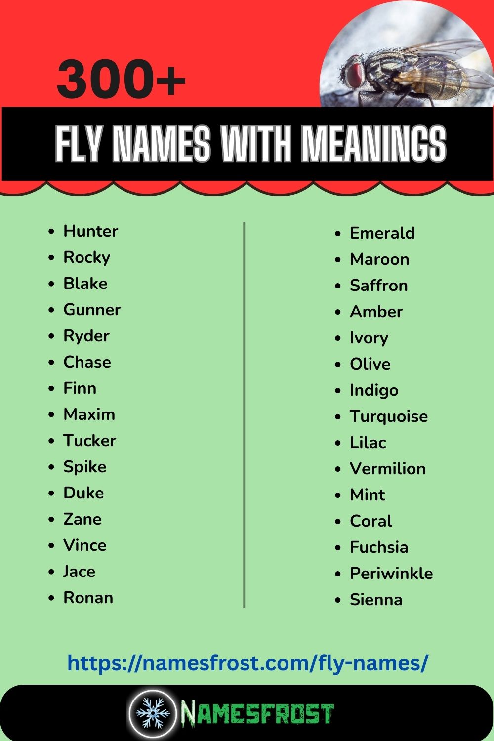 300+ Funny & Unique Fly Names With Meanings – Names Frost